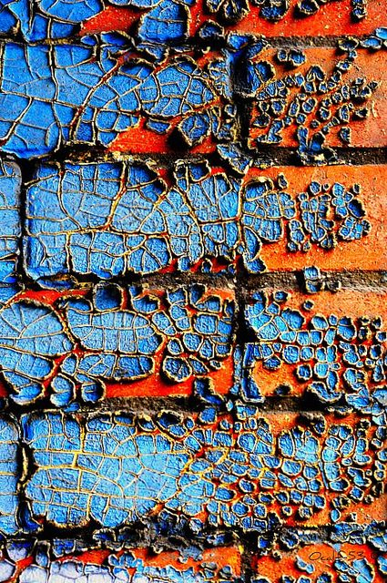 Step by step: Decay – Eve Hartman